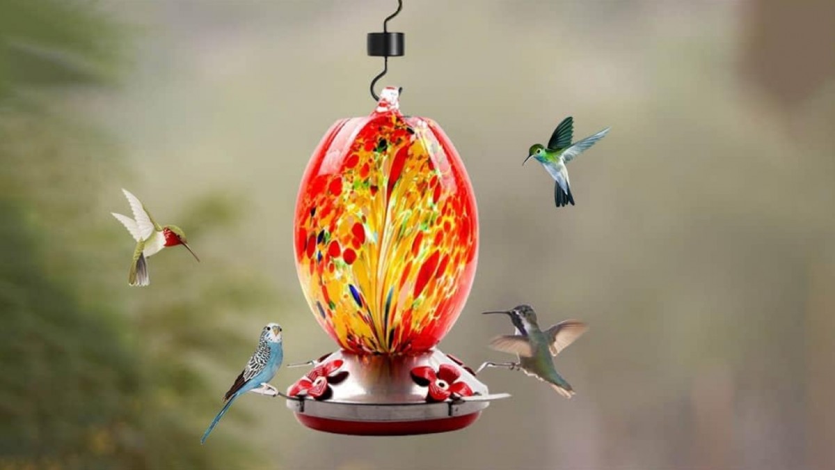 Sherem Bird Feeder Review Is It Worth Buying?